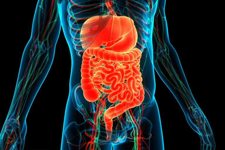 Functional Medicine for Digestive Health - Clarendon Medical